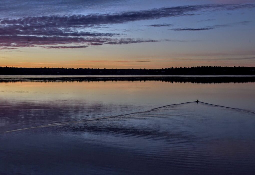 Two Kawartha Art Gallery Members Selected For Art à la Carte Exhibition ...